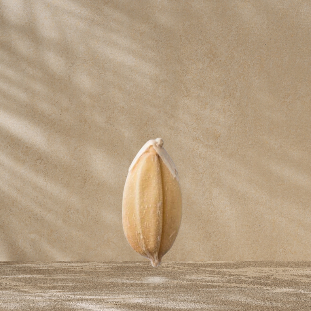 Descubre el nuevo compuesto Oryzite_Novsus 30MW